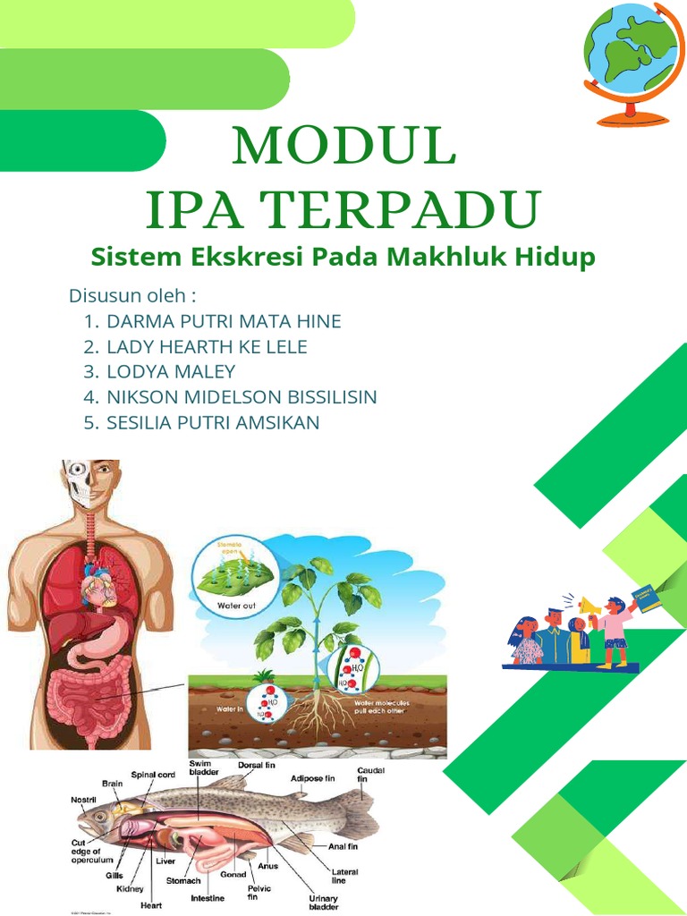 Modul IPA Terpadu - Sistem Ekskresi - Kelompok 7 - Compressed | PDF
