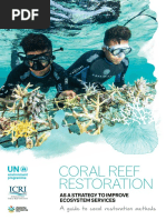 Coral Identification Guide for Divers | PDF | Coral | Coral Reef