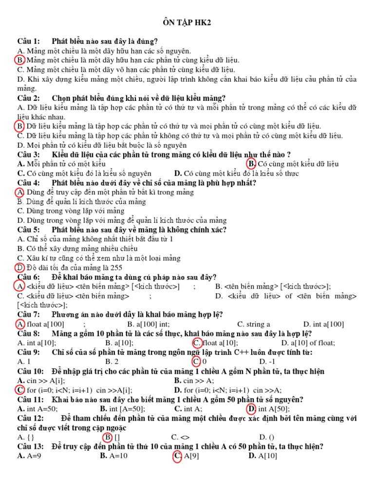 ĐỀ CƯƠNG TIN CK2 | PDF