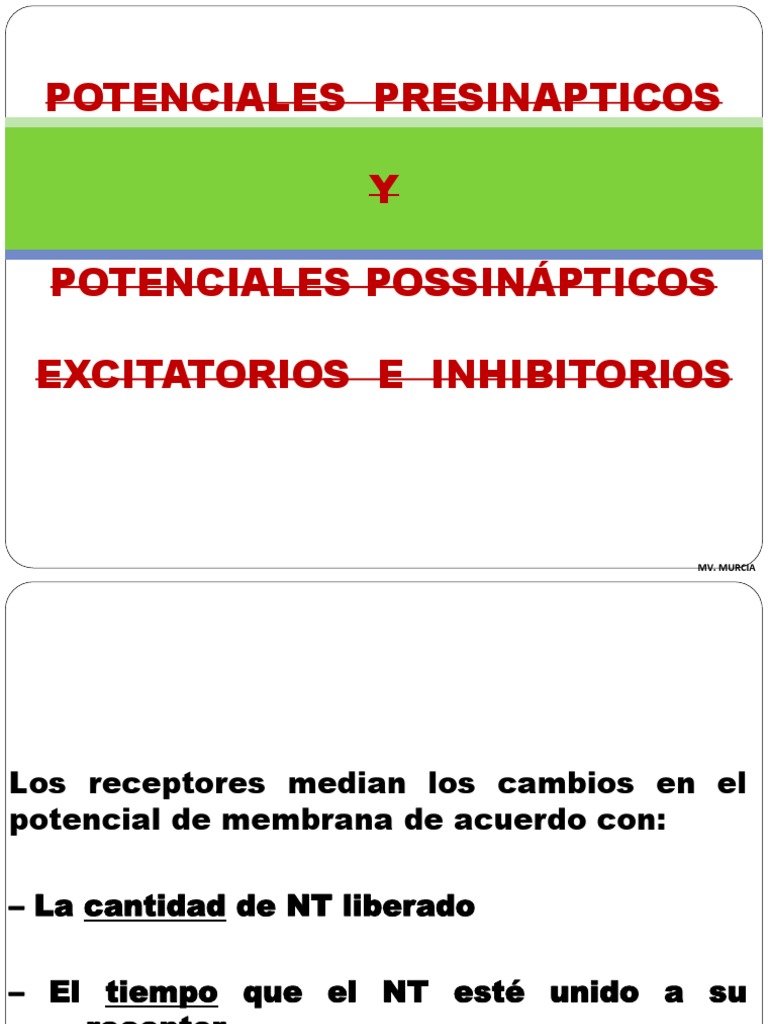 3.ppse y Ppsi | PDF | Sinapsis | Serotonina