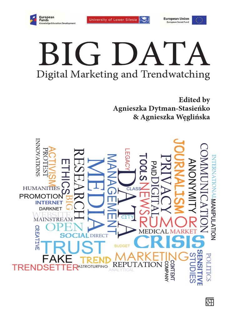 Big Data | PDF | Digital Marketing | Marketing