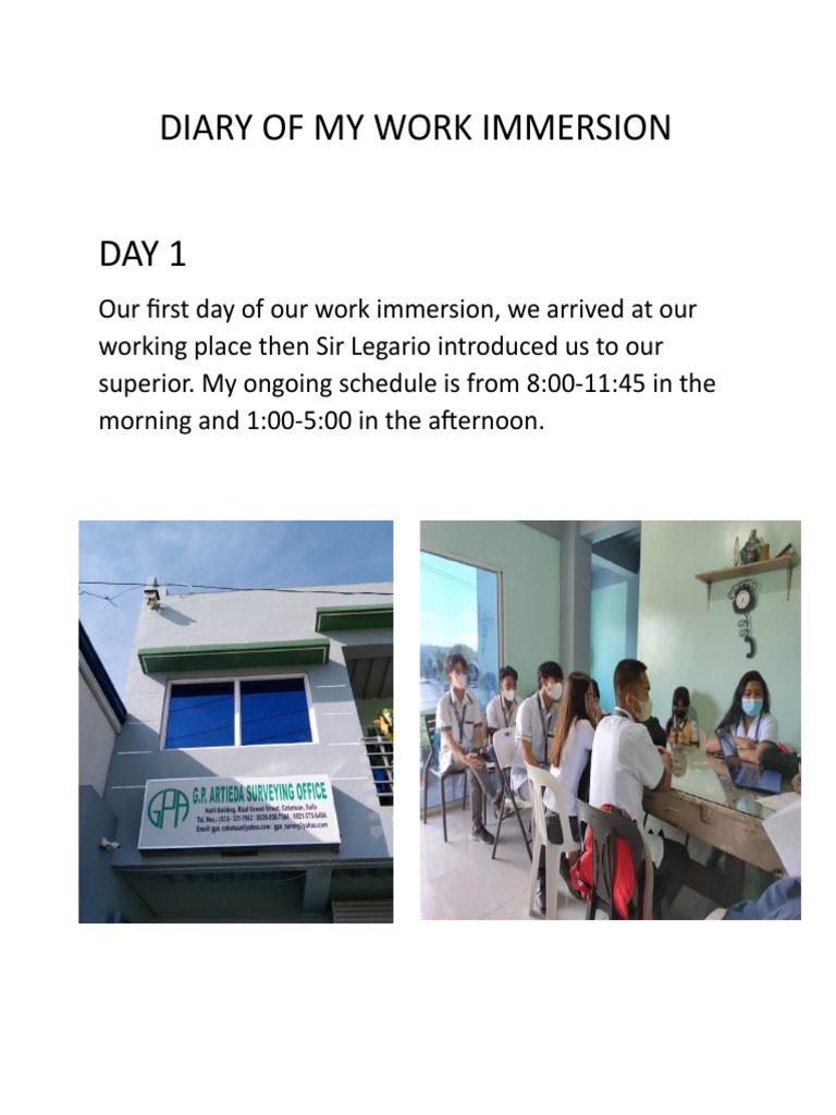 Work Immersion Diary: Days 1-10 | PDF
