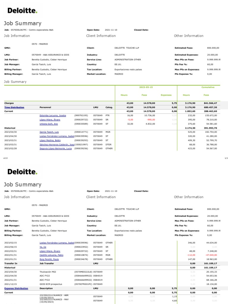 Deloitte Job Summary Analysis | PDF