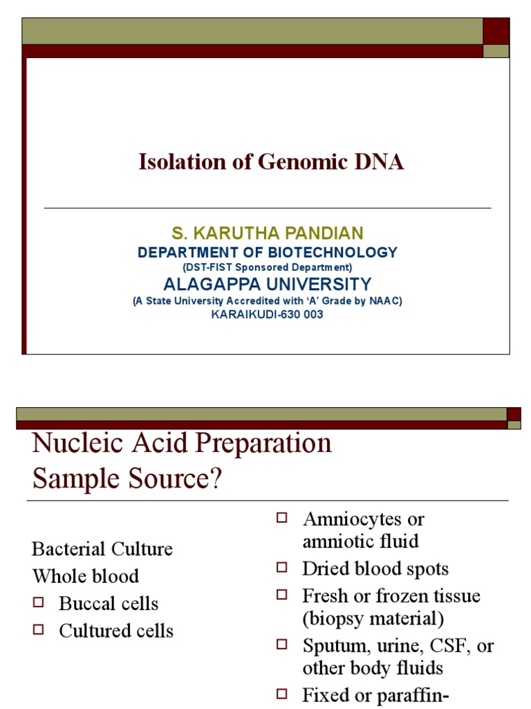 Nucleic Acid Extraction Methods | PDF | Gel Electrophoresis | Agarose ...