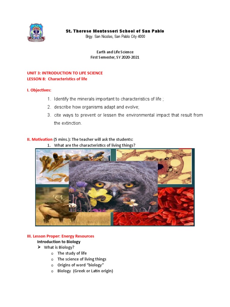 Nine Characteristics of Life Explained | PDF | Cell (Biology) | Biology