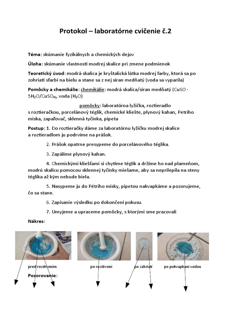 Protokol Č. 2 | PDF