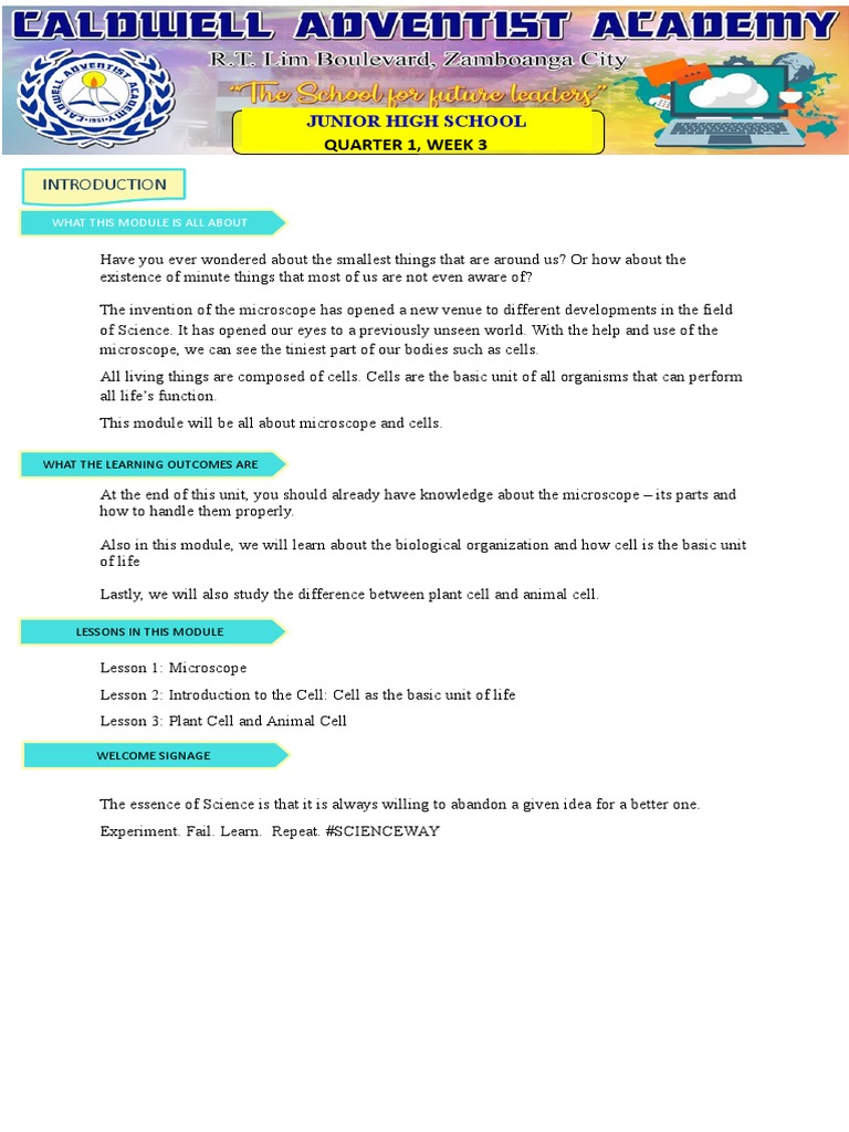 G7 Module Q1 W3 | PDF | Cell (Biology) | Endoplasmic Reticulum G7 Module Q1 W3 | PDF | Cell (Biology) | Endoplasmic Reticulum