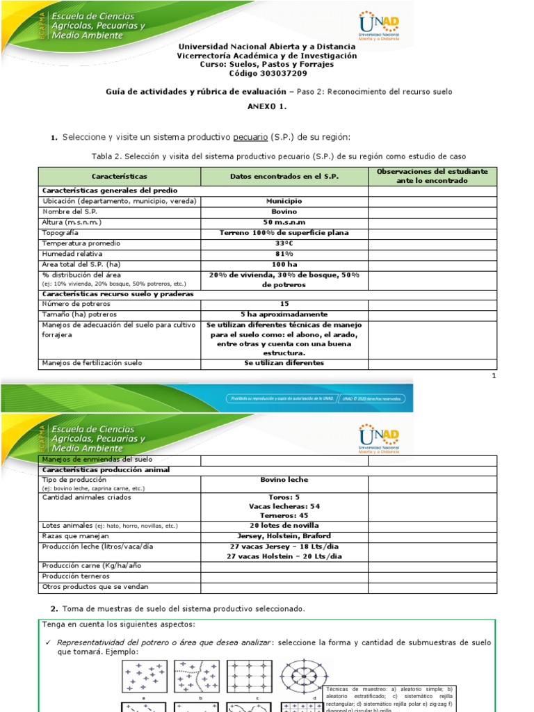 Anexo 1 - Paso 2 - Reconocimiento Del Recurso Suelo | PDF | Vacas | Suelo