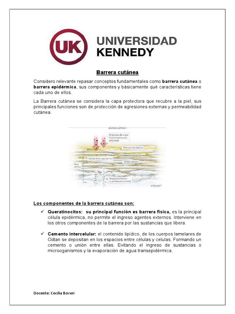 Funciones de la Barrera Cutánea | PDF | Piel | Secreción