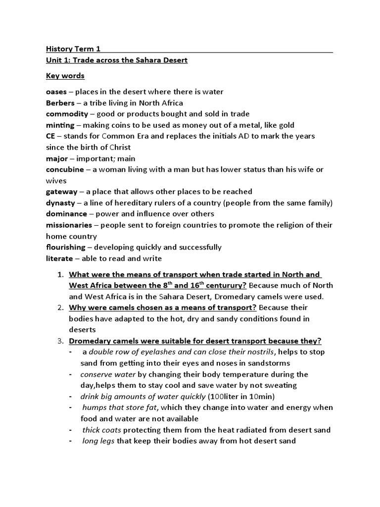 GR 7 History Term 1 | PDF | Desert