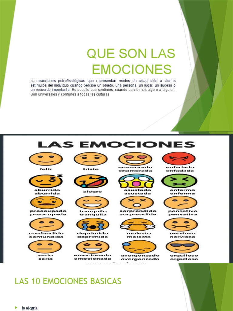Que Son Las Emociones | PDF