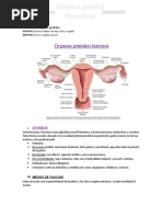 Partes de la Salpinge y Anatomía Asociada | PDF | Ovario | Pelvis