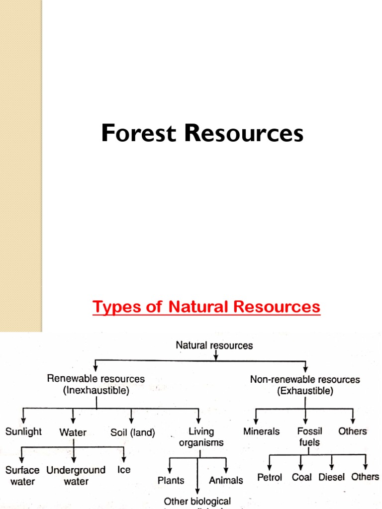 Forest Resources | PDF | Soil | Deforestation