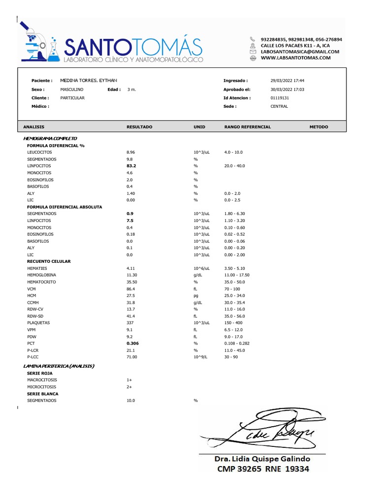 Medina Torres Eythan | PDF | Biología Celular | Histología