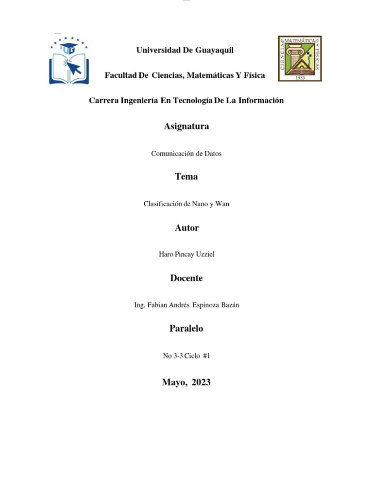 Tarea 2-1P - Clasificacion de Nano o Wan | PDF | Red de área amplia | Internet