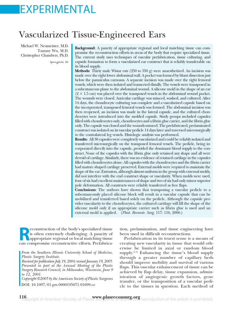 Vascularized Tissue-Engineered Ears | PDF | Tissue Engineering | Blood ...