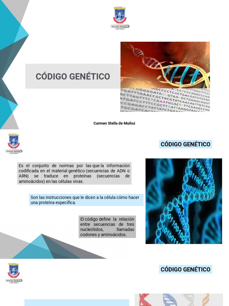 Codigo Genetico | PDF | Codigo genetico | Genética