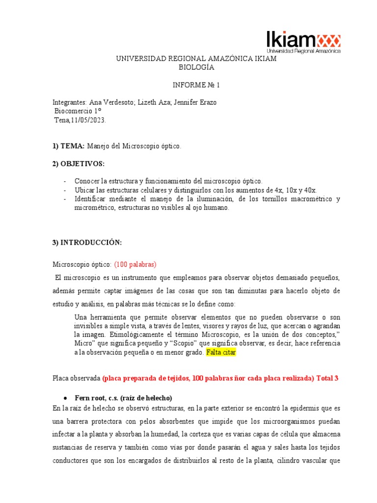 Práctica Microscópio | PDF | Microscopio | Raíz