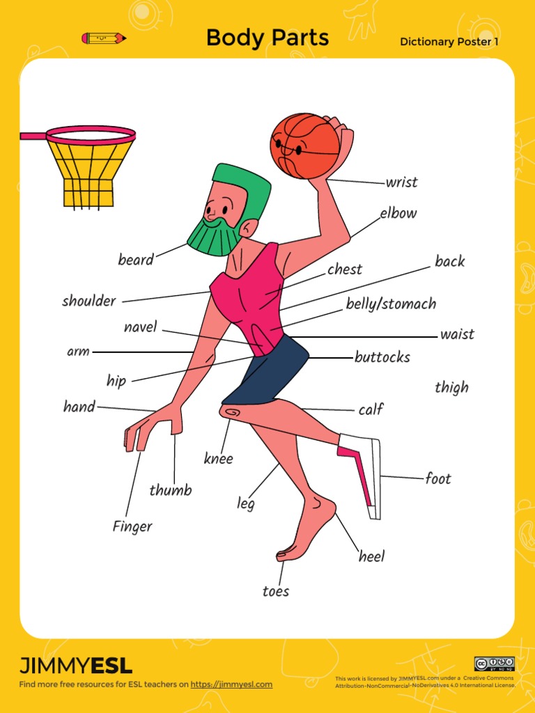bodyparts-dictionary poster_JIMMYESL | PDF | Human Anatomy