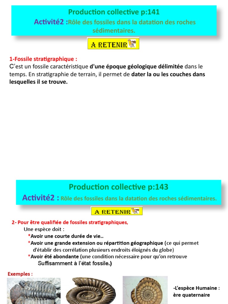 P2 1 APIC Chapitre3 Activité2 | PDF