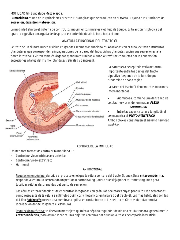Motilidad Gastrointestinal | PDF | Estómago | Esófago