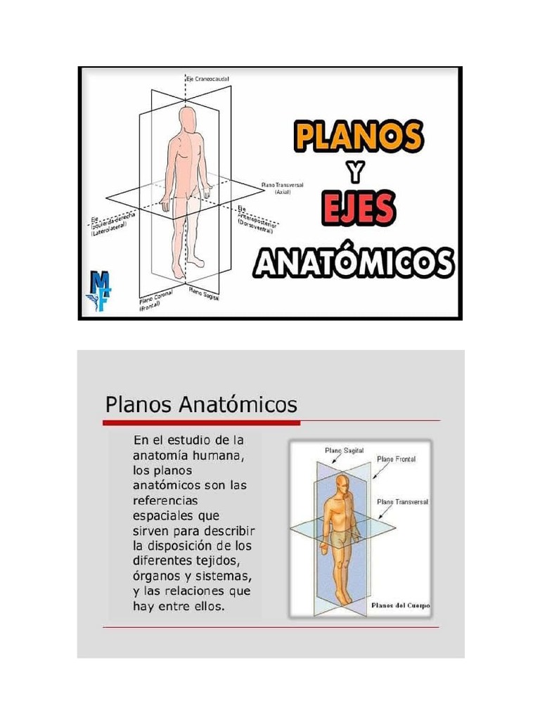 Doc1PLANOS Y EJES ANATOMICOS | PDF