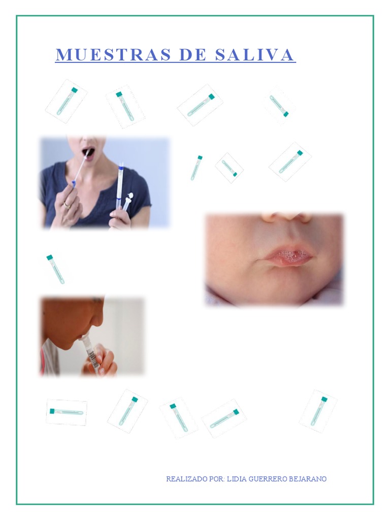 La Saliva | PDF | Órgano (anatomía) | Anatomia animal