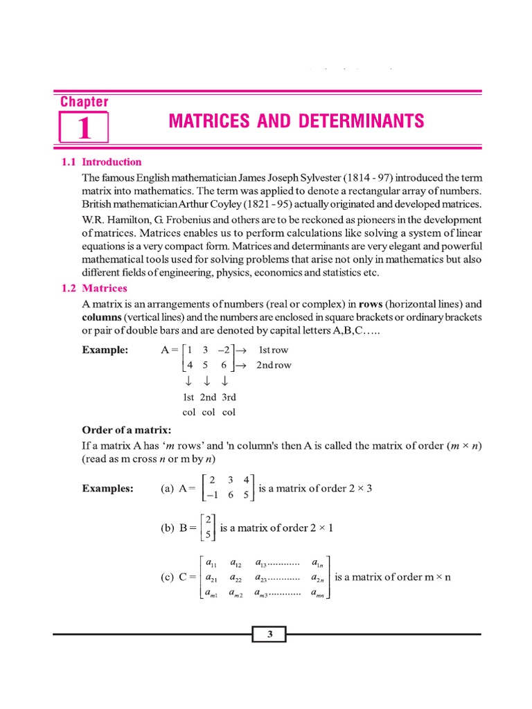 MATRICES | PDF
