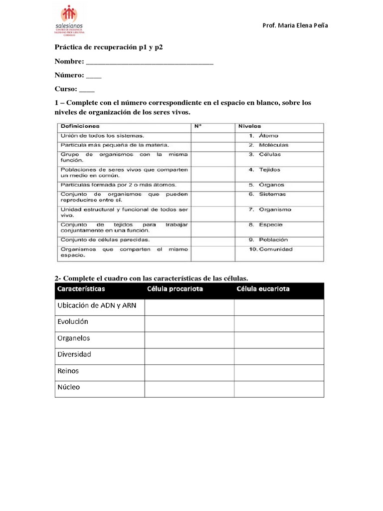 Práctica de p1 y p2 | PDF