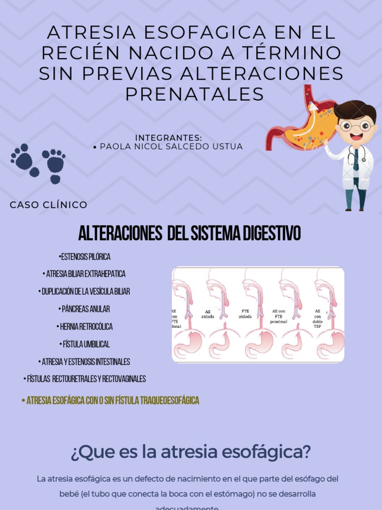 Atresia Esofagica-Embriologia | PDF | Esófago | Sistema digestivo humano