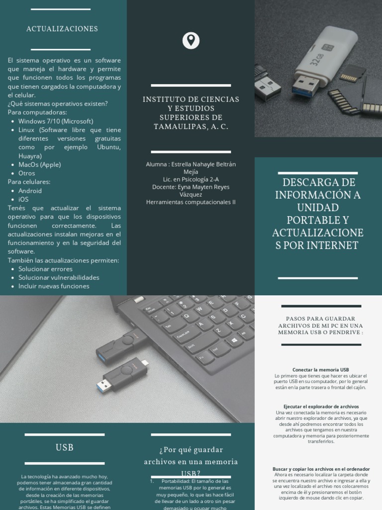 DESCARGA DE INFORMACIÓN A UNIDAD PORTABLE Y ACTUALIZACIONES POR INTERNET - Tríptico | PDF ...