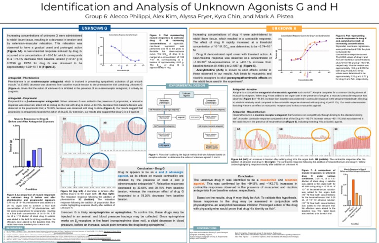 LISC 391 Scientific Poster Assignment - Group 6 | PDF | Acetylcholine ...