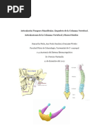 Copia de Anatomía y Fisiopatología Del PX Edentulo | PDF | Lengua | Boca