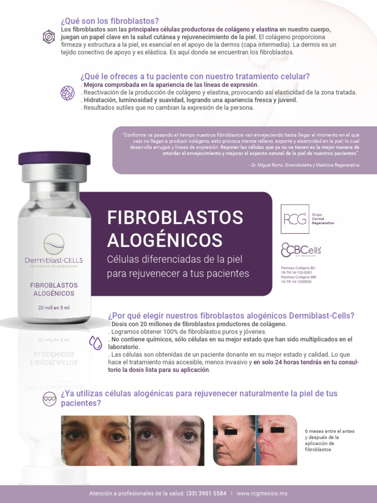Dermisblast | PDF | Piel | Fibroblastos