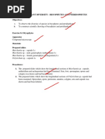 Spinach Lab Report | PDF | Photosynthesis | Leaf
