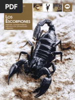 Guía de Escorpiones para Entomólogos | PDF