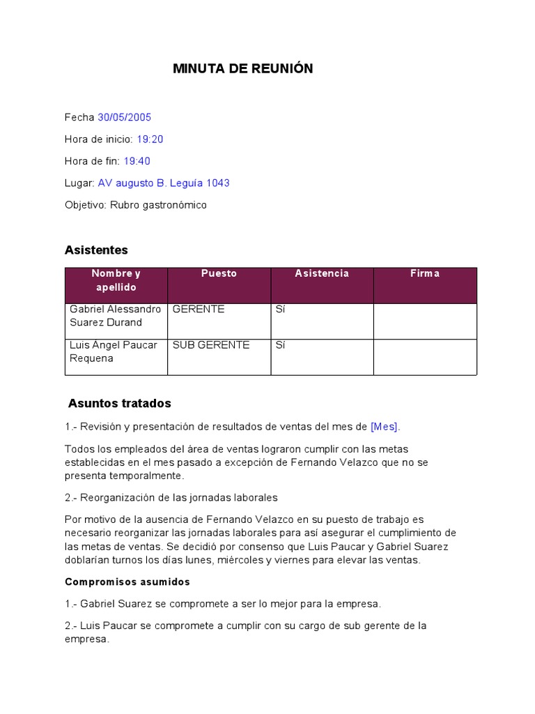 Modelo de Minuta | PDF