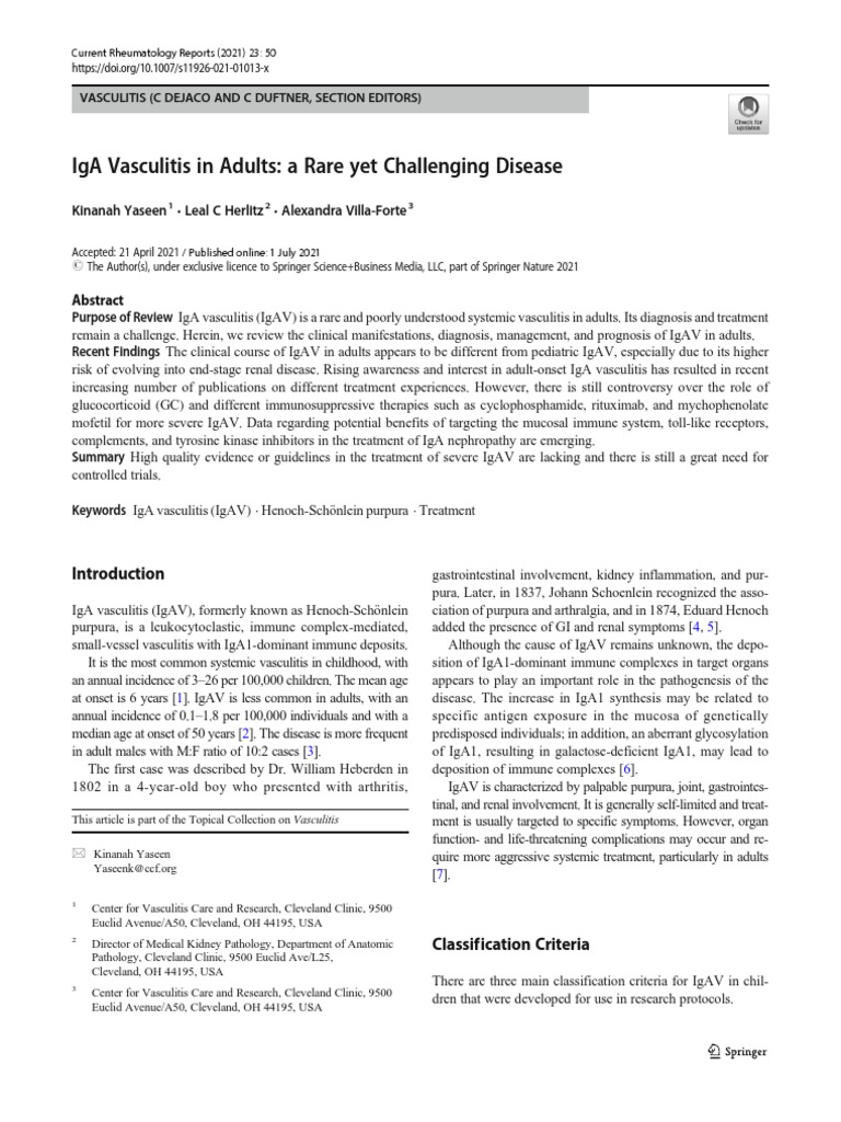 IgA Vasculitis in Adults A Rare Yet Challenging Disease | PDF | Kidney ...