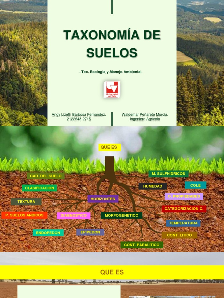 Taxonomia de Suelos Angy Lizeth Fernandez | Descargar gratis PDF | Suelo | Ciencias de la Tierra