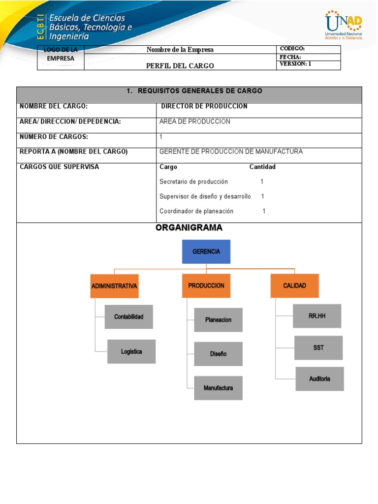 Plantilla Descripción de Cargo | PDF | Calidad (comercial) | Toma de decisiones