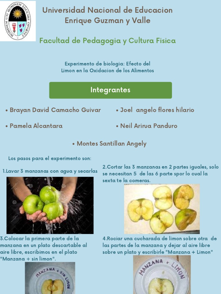 Experimento de Biologia | PDF | Química