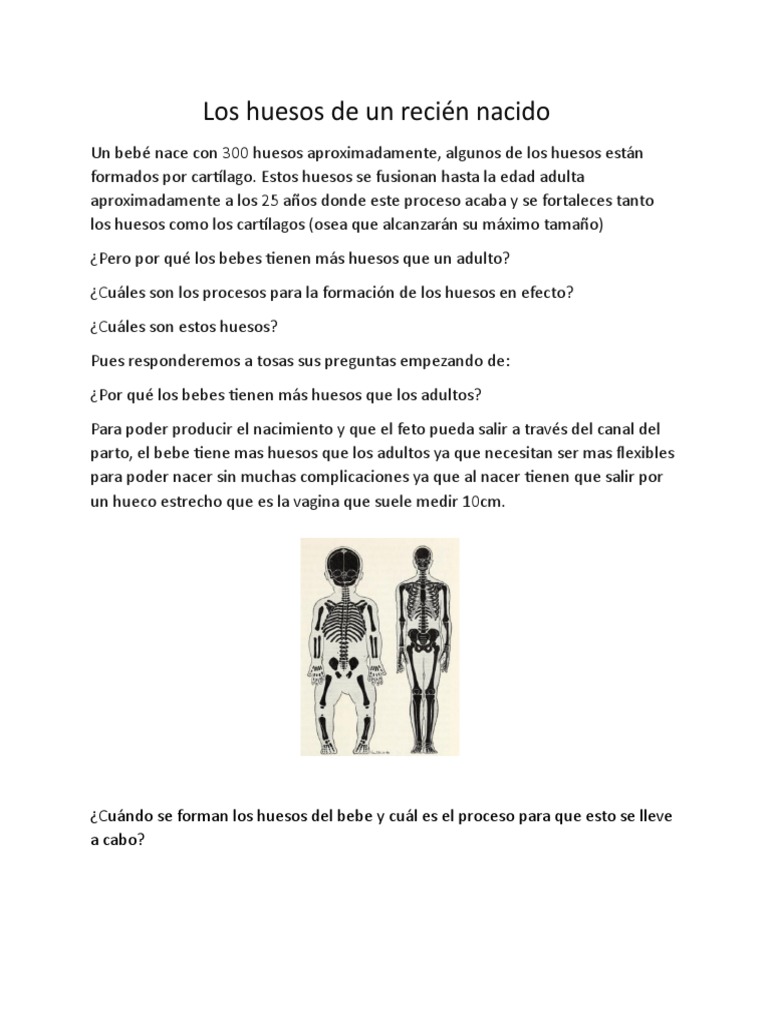 Los Huesos de Un Recién Nacido (1) X | PDF | Cráneo | Anatomía