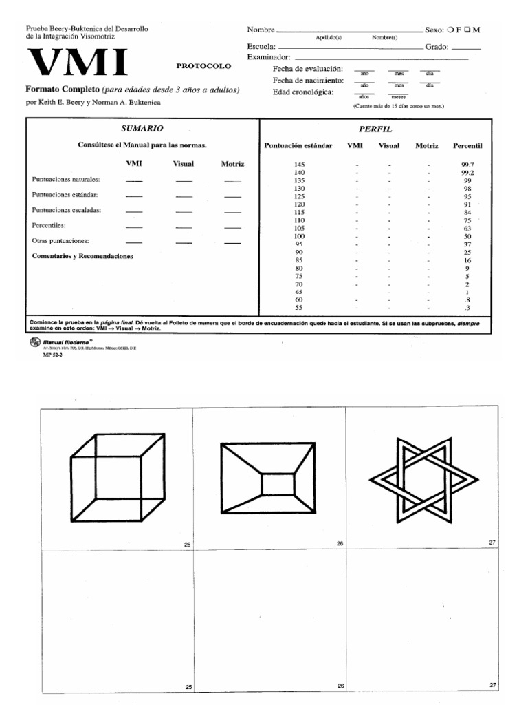 VMI. Protocolo Formato Completo | PDF