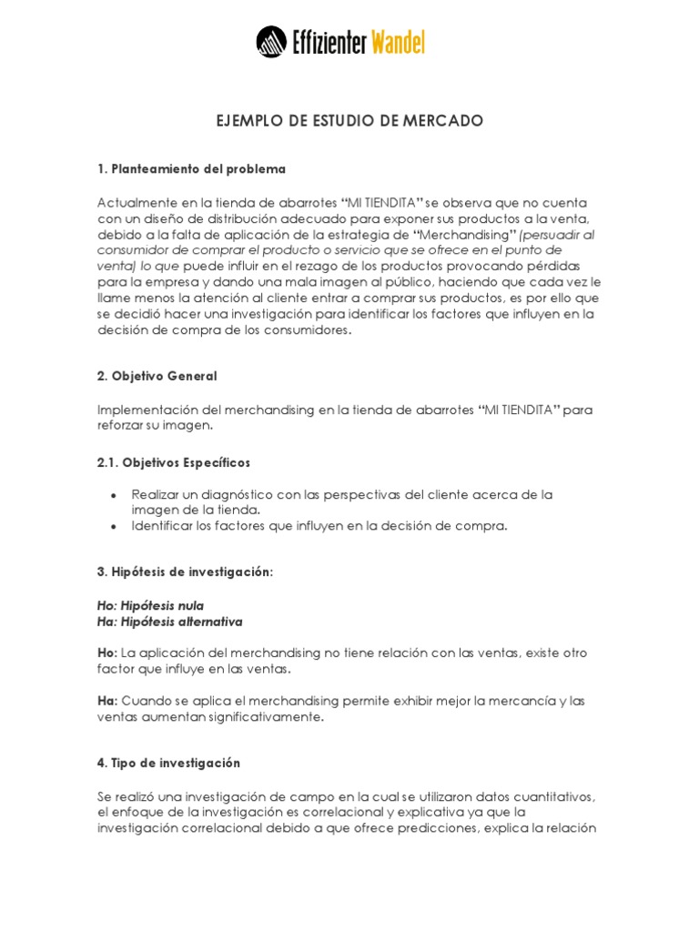 Ejemplo de Estudio de Mercado | PDF | Investigación de mercado ...