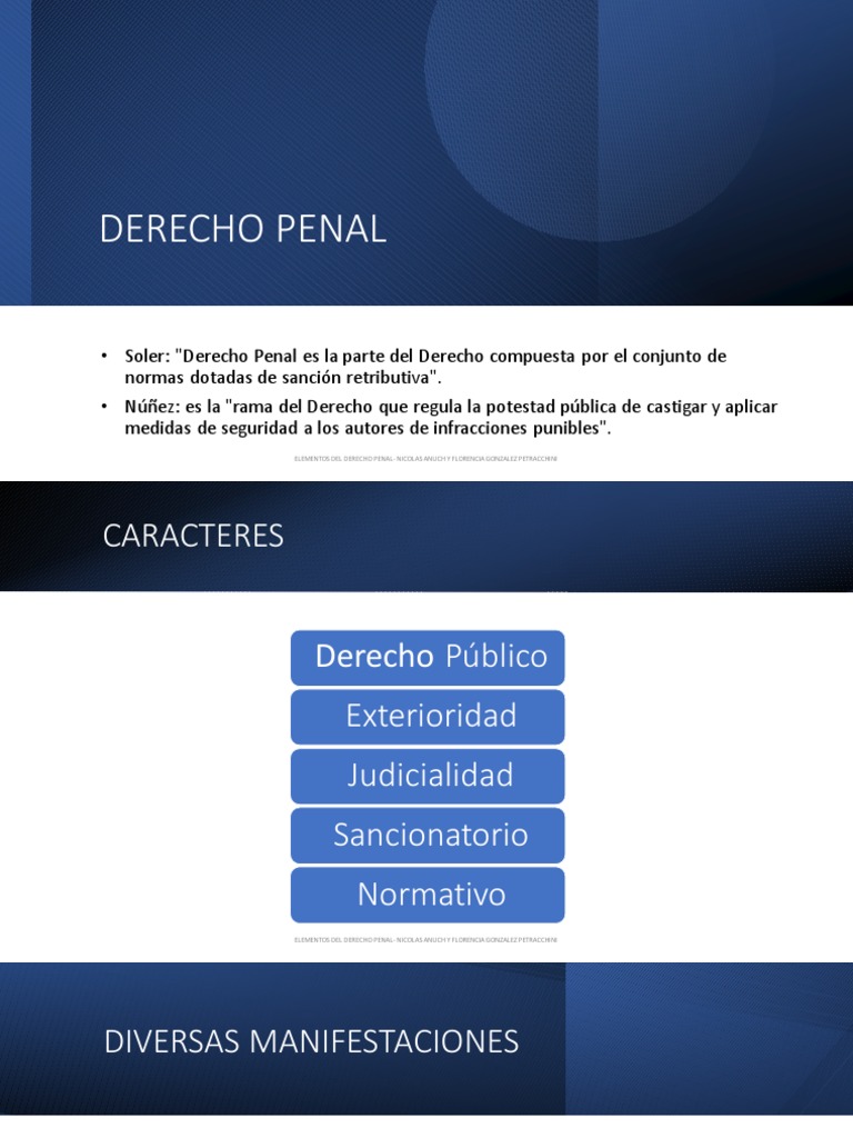Derecho Penal Introduccion | PDF | Derecho penal | Castigos
