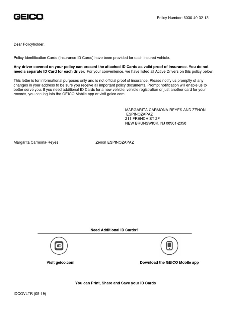 6030403213-pdf-identity-document-insurance
