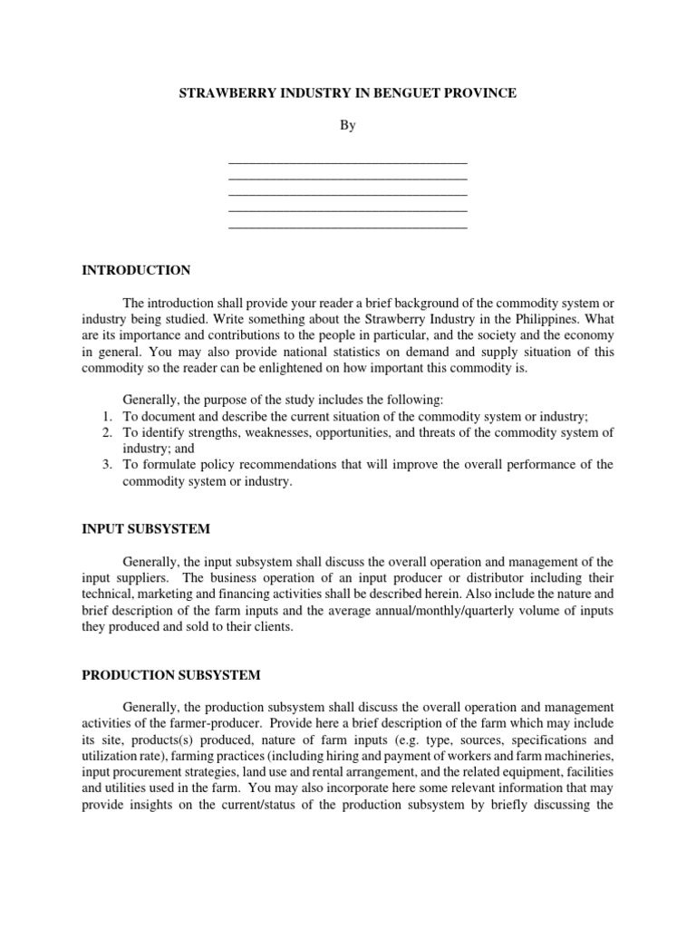 Attachment A - Exercise-No-6 - Commodity System Analysis - Template ...