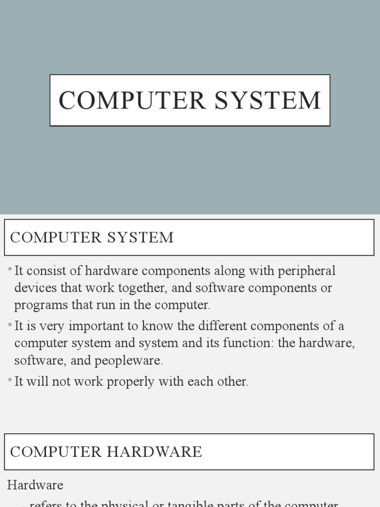 Computer System | PDF | Computer Data Storage | Computer Keyboard