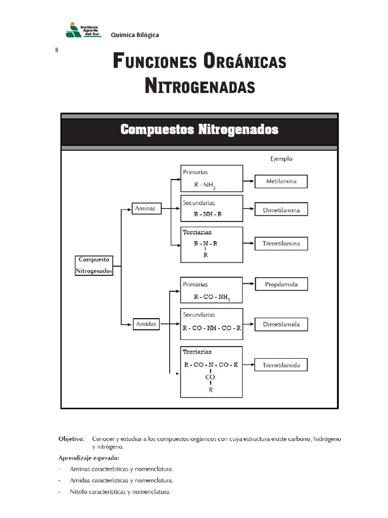 Funciones Nitrogenadas I (Aminas, Amidas y Nitrilos) | PDF