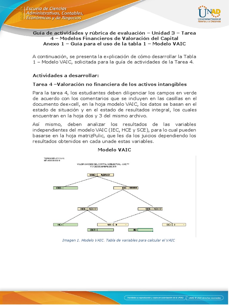 Anexo 1 - Guia para El Uso de La Tabla 1 - Modelo VAIC | PDF